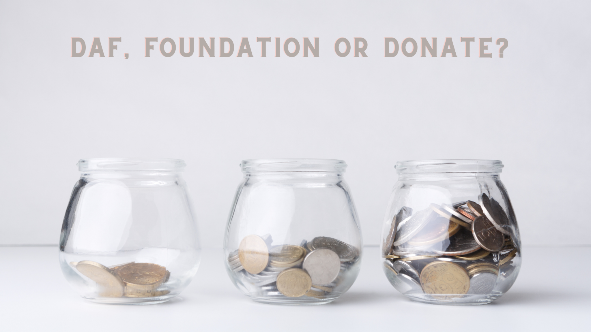 Donor Advised Funds (DAFs), Foundations, and Charities: A Guide for ...